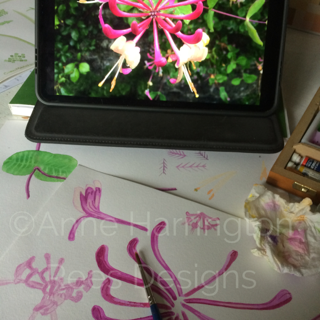 Always Learning – Anne Harrington Rees Designs